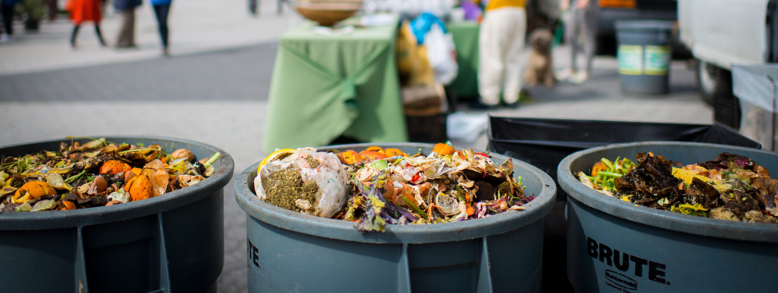 How Can U.S. Composting Scale? Composting Consortium Launches New ...